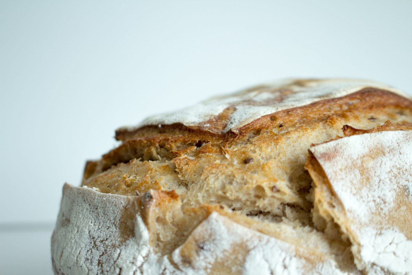 Bread improver - Complete information on bread improvers-Baker's standard
